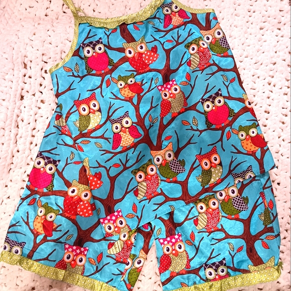 Nick & Nora | Pajamas | Owl Pajama Set Juniors Xl 416 Soft And Cute ...